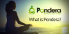 What is Pondera? | Pondera Wellness